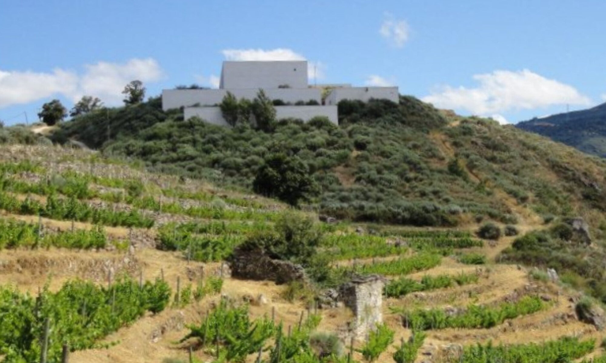 Dominio Do Bibei - NYWines