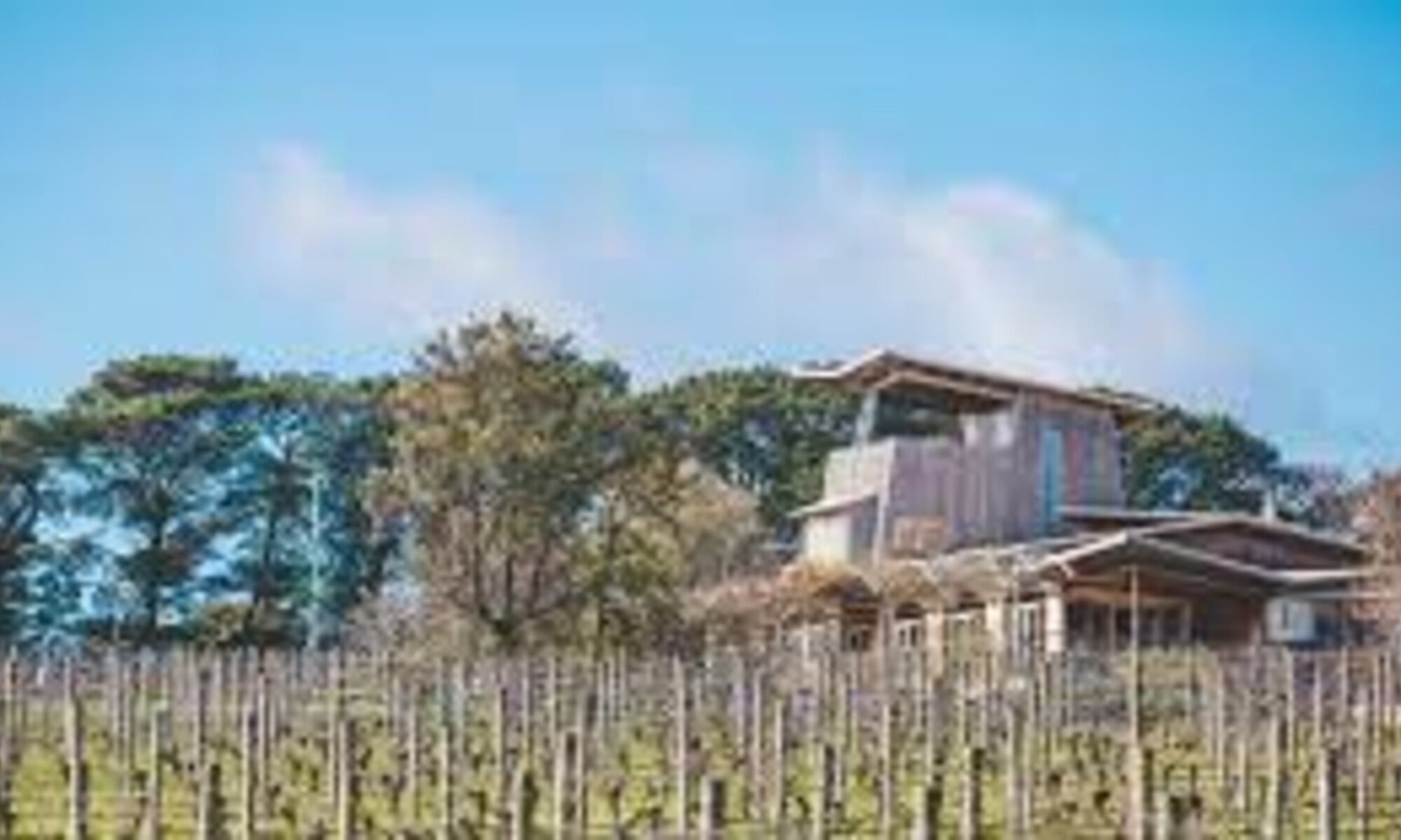 Moorooduc Estate - NYWines
